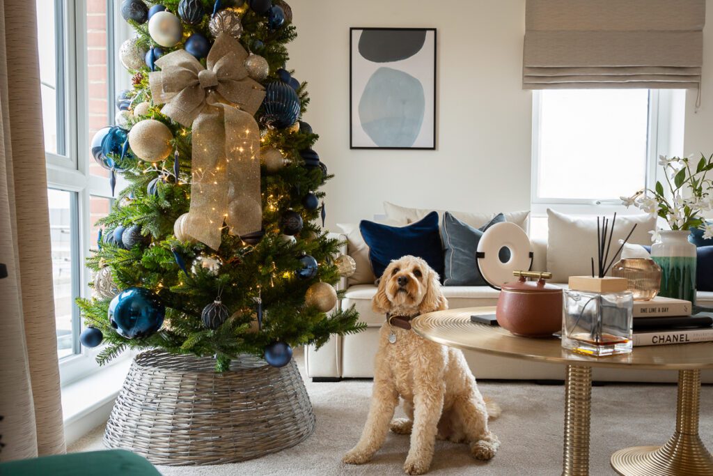 Christmas at The Quarry - The Quarry